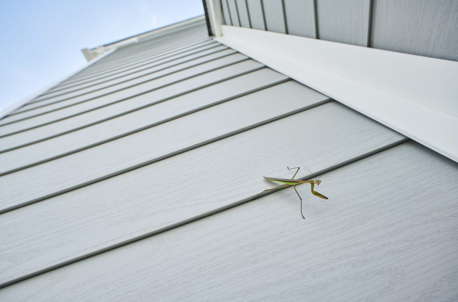 Wolf Portrait Siding Products | Wolf Home Products